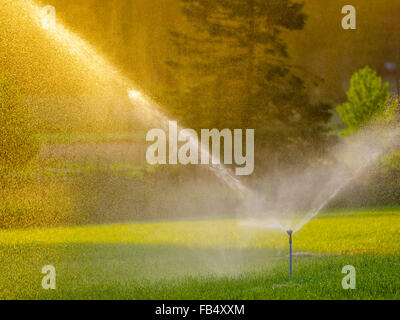 Irrigation of pasture on Vancouver Island, Canada Stock Photo - Alamy