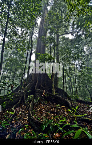 Changjiang County Hainan Province China Stock Photo - Alamy