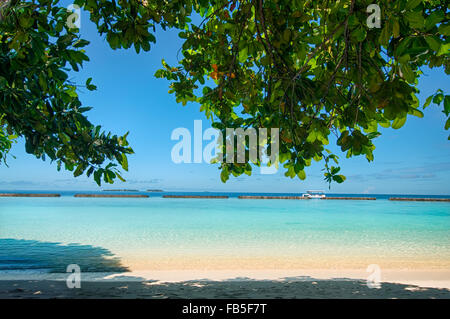 Paradise on Earth. Tropical beach, green palm trees, azure sea, sand ...