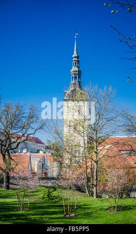 View of the Old Tallinn beautiful spring day Stock Photo - Alamy