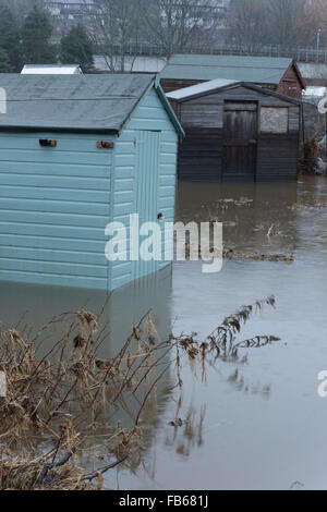Flooding on allotments,Moncrieffe Island,Perth Stock Photo - Alamy