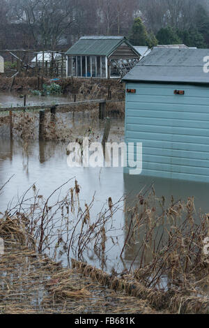 Flooding on allotments,Moncrieffe Island,Perth Stock Photo - Alamy