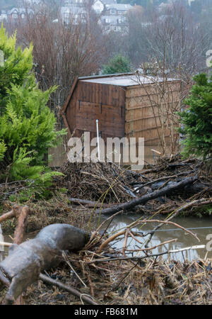 Flooding on allotments,Moncrieffe Island,Perth Stock Photo - Alamy
