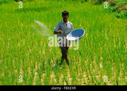 Ma Thakar tribe, Maharashtra, Man in dhoti and woman Stock Photo - Alamy
