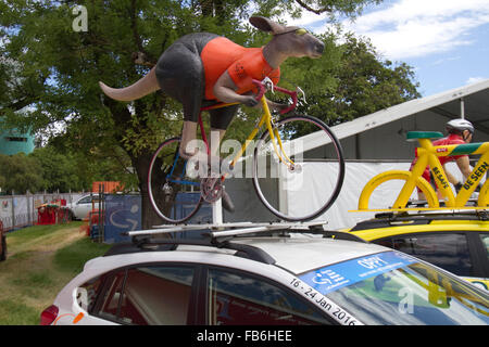 Adelaide Australia 11th January 2016. A large Kangaroo riding a bicycle ...