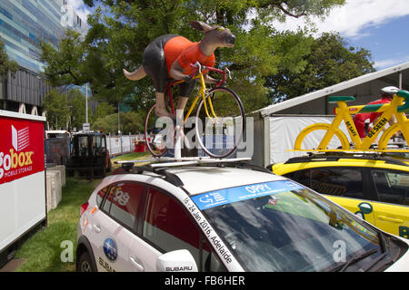 Adelaide Australia 11th January 2016. A large Kangaroo riding a bicycle ...