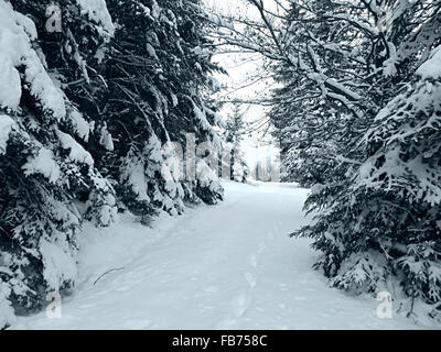 Winter landscape. Composition of nature Stock Photo - Alamy