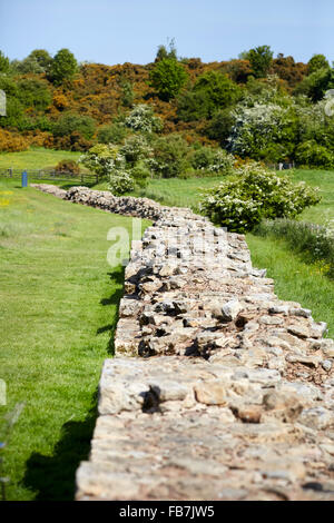 Hadrian's Wall at Heddon on the Wall, Northumberland, UK Stock Photo ...