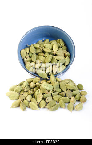 A background of green cardamom pods in a colour palette with ...