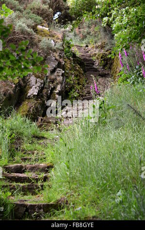 Path to Binny Craig, West Lothian, Scotland Stock Photo: 93001976 - Alamy