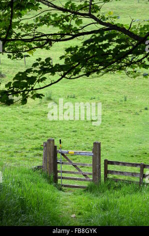 Path to Binny Craig, West Lothian, Scotland Stock Photo - Alamy