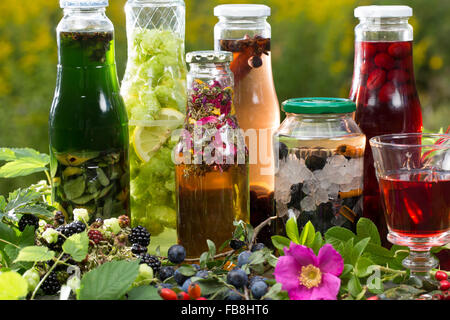 Bitters, schnapps, liquor, Heilschnaps, Heilschnäpse, Kräuterschnaps ...