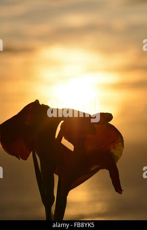 Lotus Flower, South Goa, India Stock Photo - Alamy