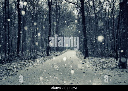 Background autumn park in the first snow Stock Photo - Alamy