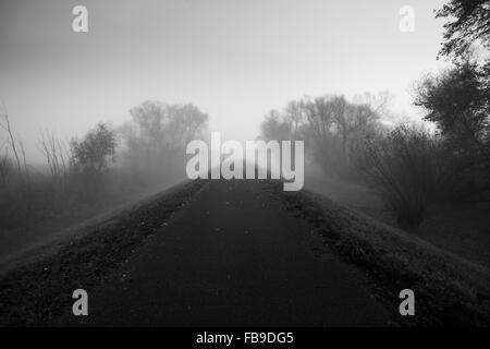 asphalt road going off into the distance on the left, passes through ...