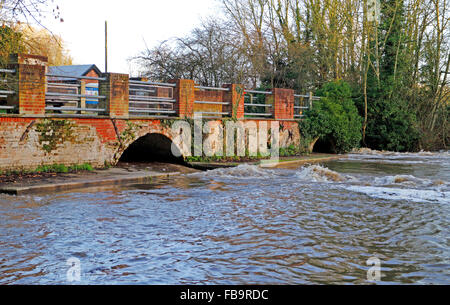 A view of the Mill Pool and River Bure at the former watermill at ...