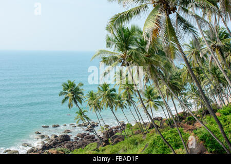 Palm fringed hillside at Rajbagh beach, Cabo de Rama, Cola, South Goa ...