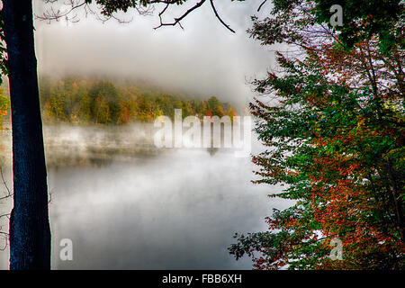 autumn landscape at a foggy morning Stock Photo - Alamy