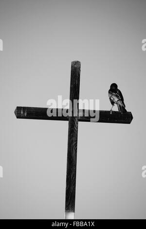 Raven sitting on Cross Stock Photo - Alamy