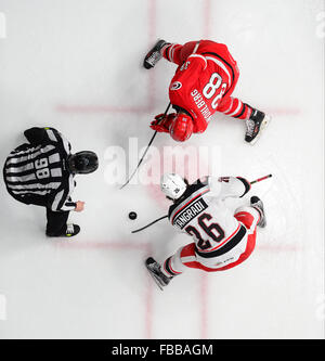 Checkers C David Wohlberg (38) during the AHL game between the San Jose ...