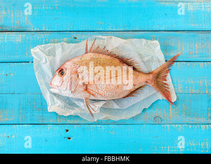 Fresh red porgy fish on ice on seafood display at the supermarket Stock ...