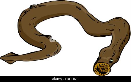 Single cartoon lamprey eel fish portrayed as lamp with light rays Stock ...