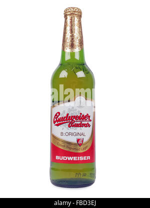 Budweiser Budvar Premium Czech Lager 5 litre mini keg cans seen in ...