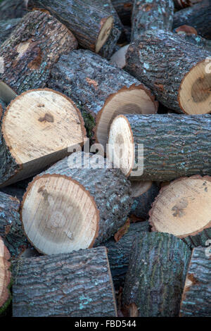 Stockpile of logs Stock Photo - Alamy