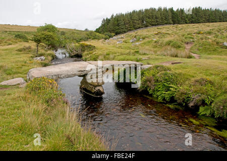 Teign-e-Ver clapper bridge across the North Teign River, not far from ...