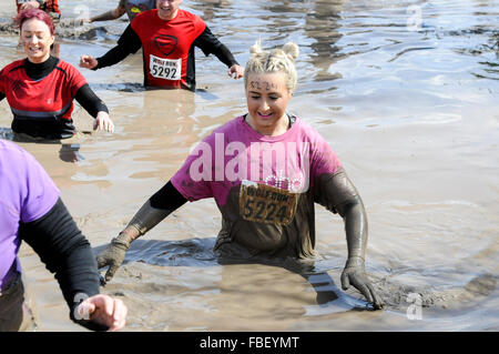 Mud covered single female runners at obstacle course race, UK Stock ...