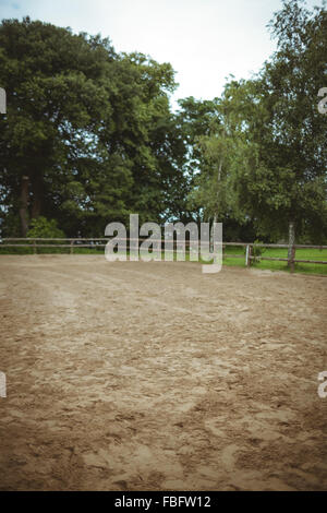 on the paddock Stock Photo - Alamy