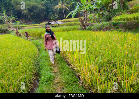 A woman smiles when photographed, as she is walking on an embankment ...