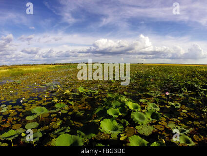 Kakadu National Park floodplains aerial, Australia Stock Photo - Alamy