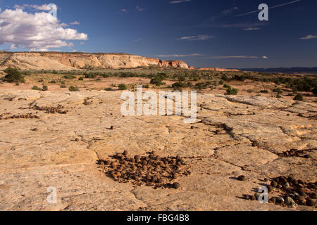 At the Moki Holls are lying thousands of stone balls, called Moqui ...