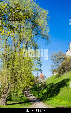 Park in Tallinn, a beautiful spring day Stock Photo - Alamy