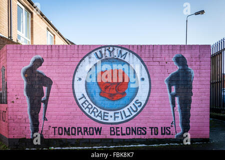red hand ulster Loyalist wall mural, lower shankill road, Belfast Stock ...