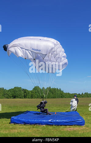Parachutists - 2015.The skydiver landing under parachute Stock Photo ...