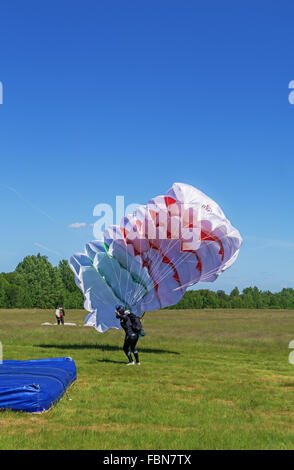 Parachutists - 2015.The skydiver landing under parachute Stock Photo ...
