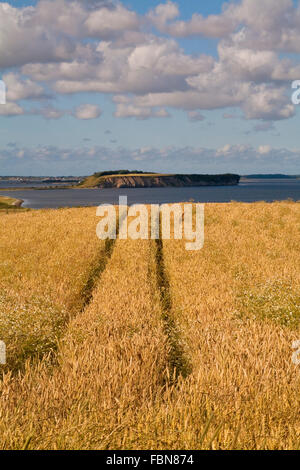 The island of Mors lies in the middle of the Limfjord, a still body of ...