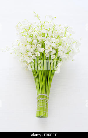 Lilies of the valley macro view background Stock Photo - Alamy