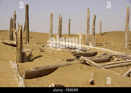 Keriya County Hotan Prefecture Taklimakan Desert Xinjiang Autonomous ...