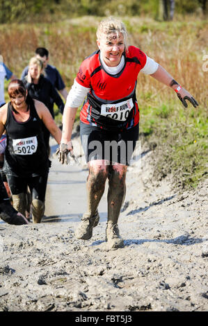 Female runner stuck in mud at obstacle course race, UK Stock Photo - Alamy