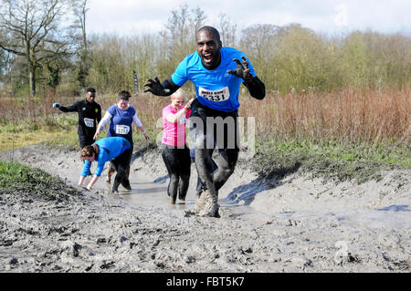 African Caribbean male runner at obstacle course race, UK Stock Photo ...