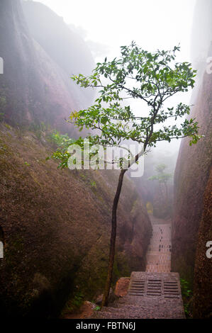 wet path on mountain slope in Dazhai country Stock Photo - Alamy
