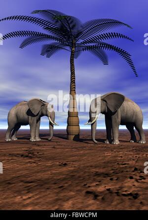 Set of Elephants Isolated Stock Photo - Alamy