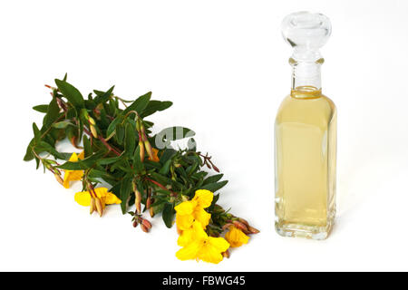 A bottle of evening primrose oil with fresh blooming plant Stock Photo ...