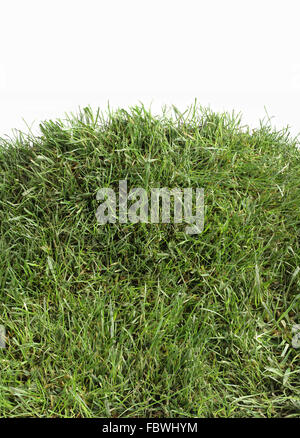 Simple Grassy Hill Cutout Stock Photo - Alamy