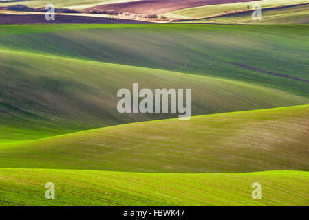 Czech countryside, south Moravia Stock Photo - Alamy