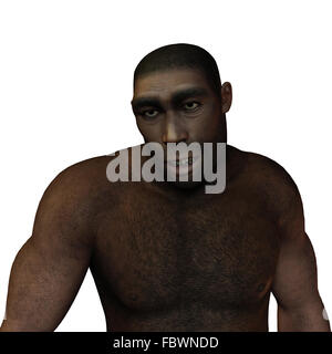 Early humans Homo erectus Stock Photo - Alamy