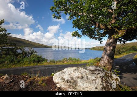 Lough Beagh (Loch Gleann Bheatha) in the Glenveagh National Park ...